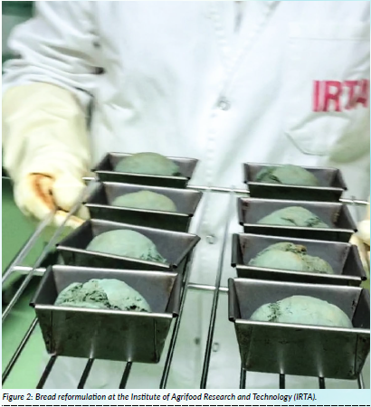 ProFuture: shaping the future of microalgae proteins in Europe » EDMA