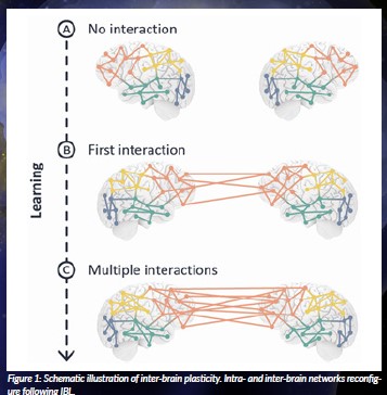 Brains that fire together wire together: interbrain plasticity ...
