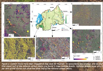 Counting every tree because every tree counts » EDMA