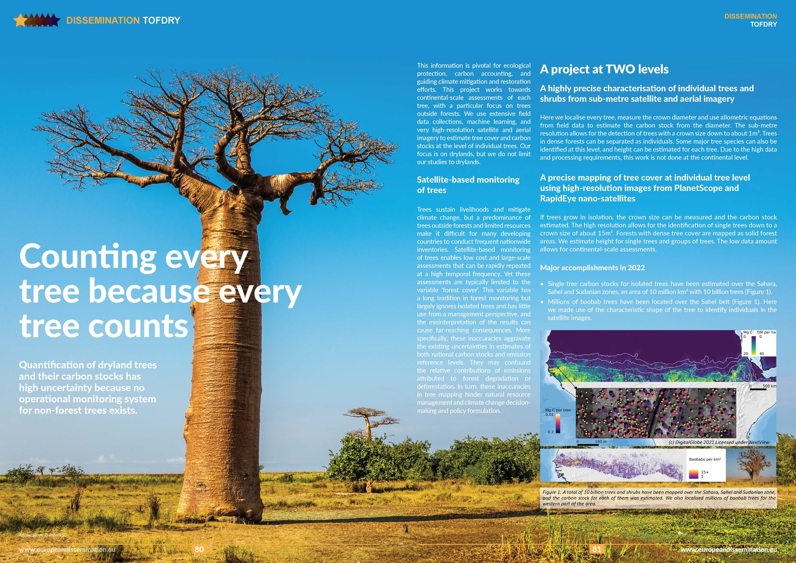 Counting every tree because every tree counts » EDMA