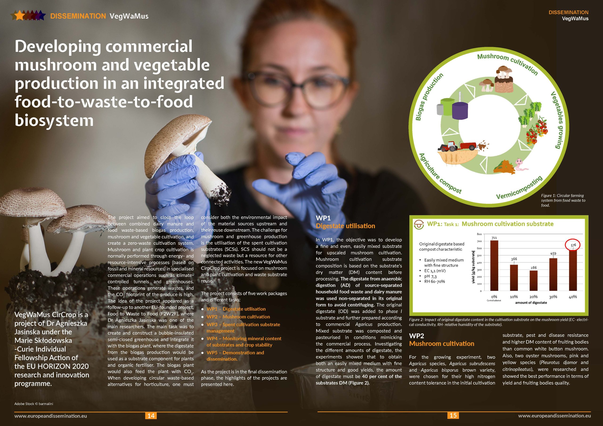 Developing commercial mushroom and vegetable production in an ...