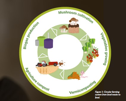 Developing commercial mushroom and vegetable production in an ...