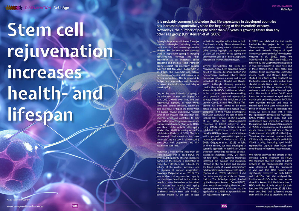 Stem cell rejuvenation increases health- and lifespan » EDMA