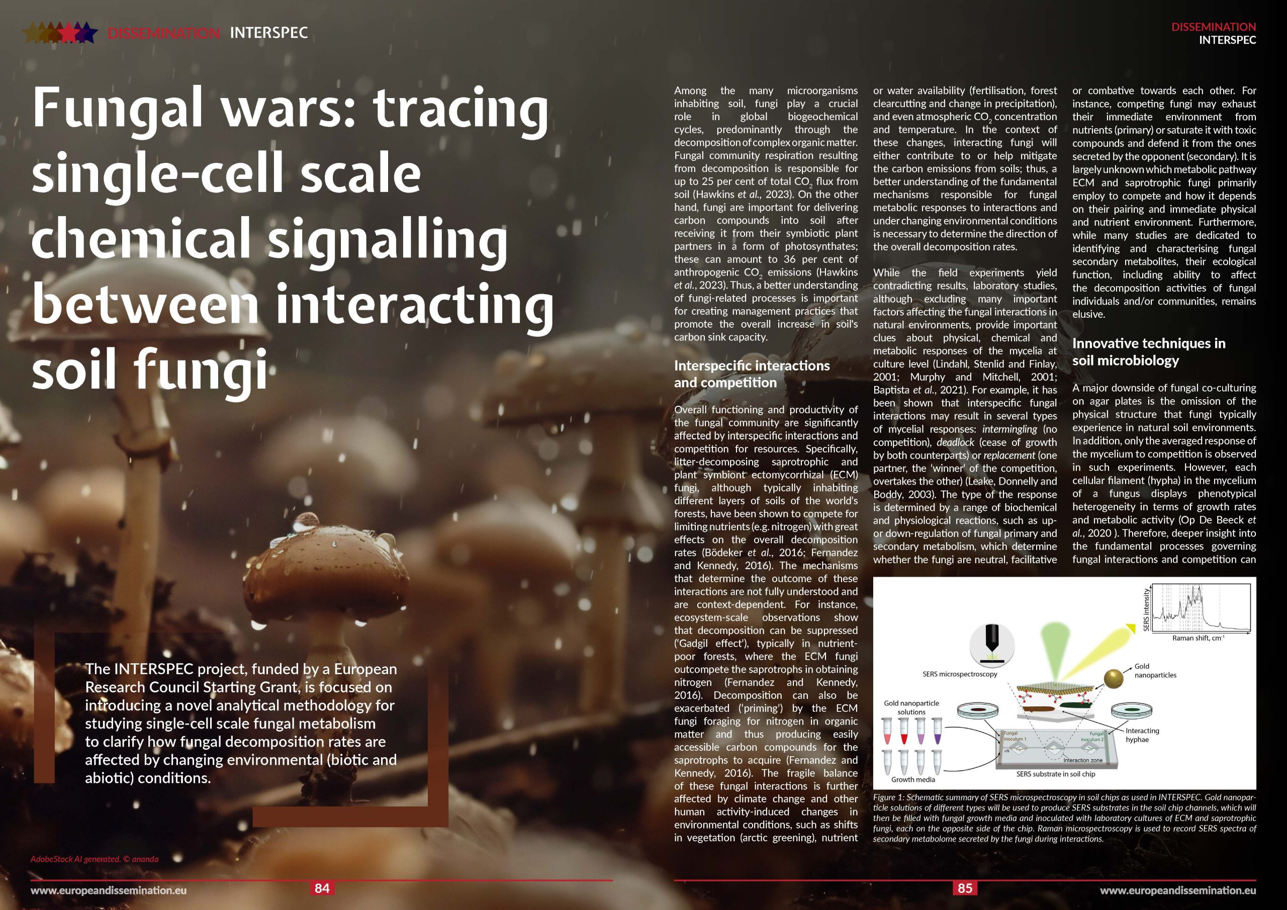 Fungal wars: tracing single-cell scale chemical signalling between ...