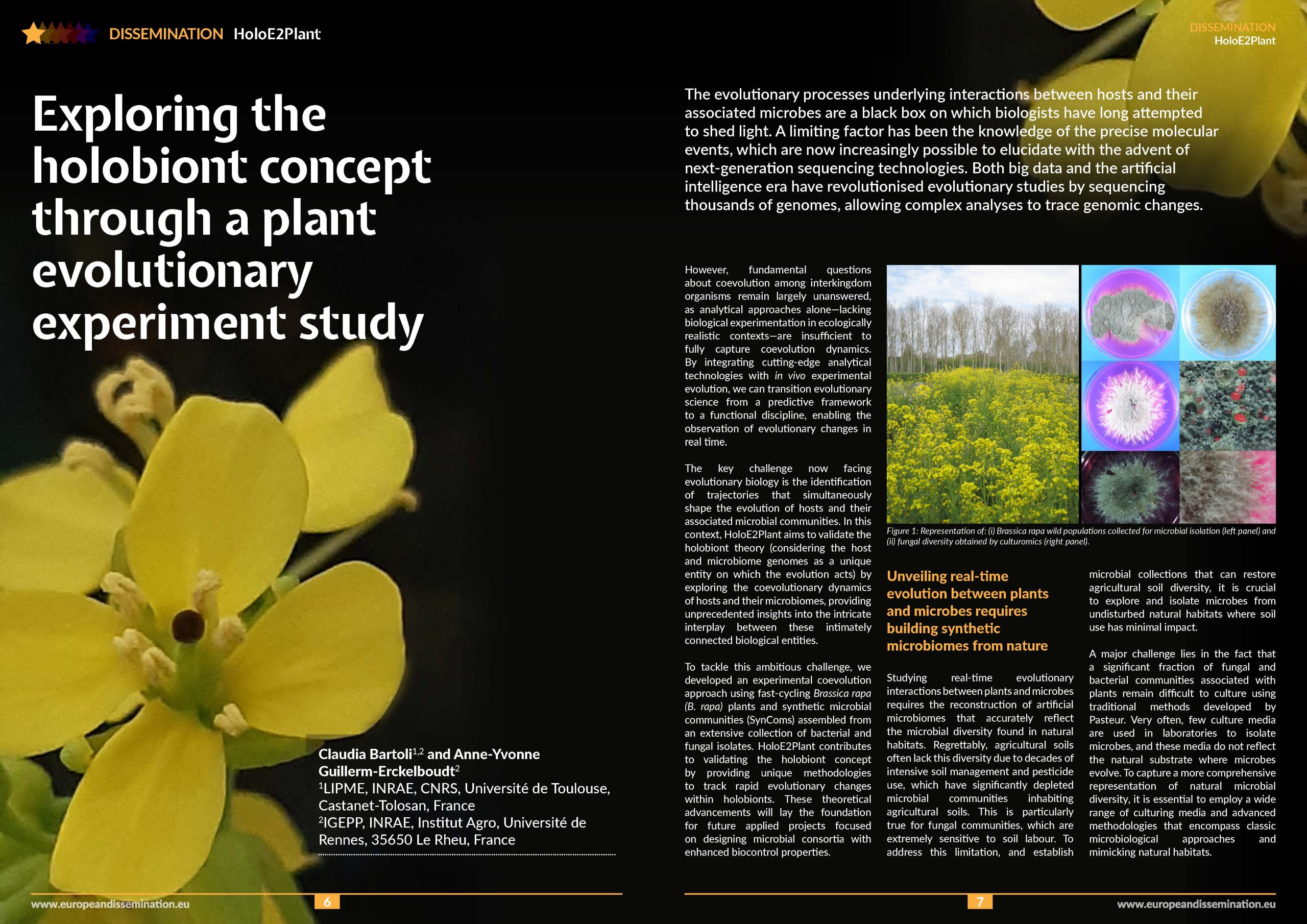 Exploring the holobiont concept through a plant evolutionary experiment ...