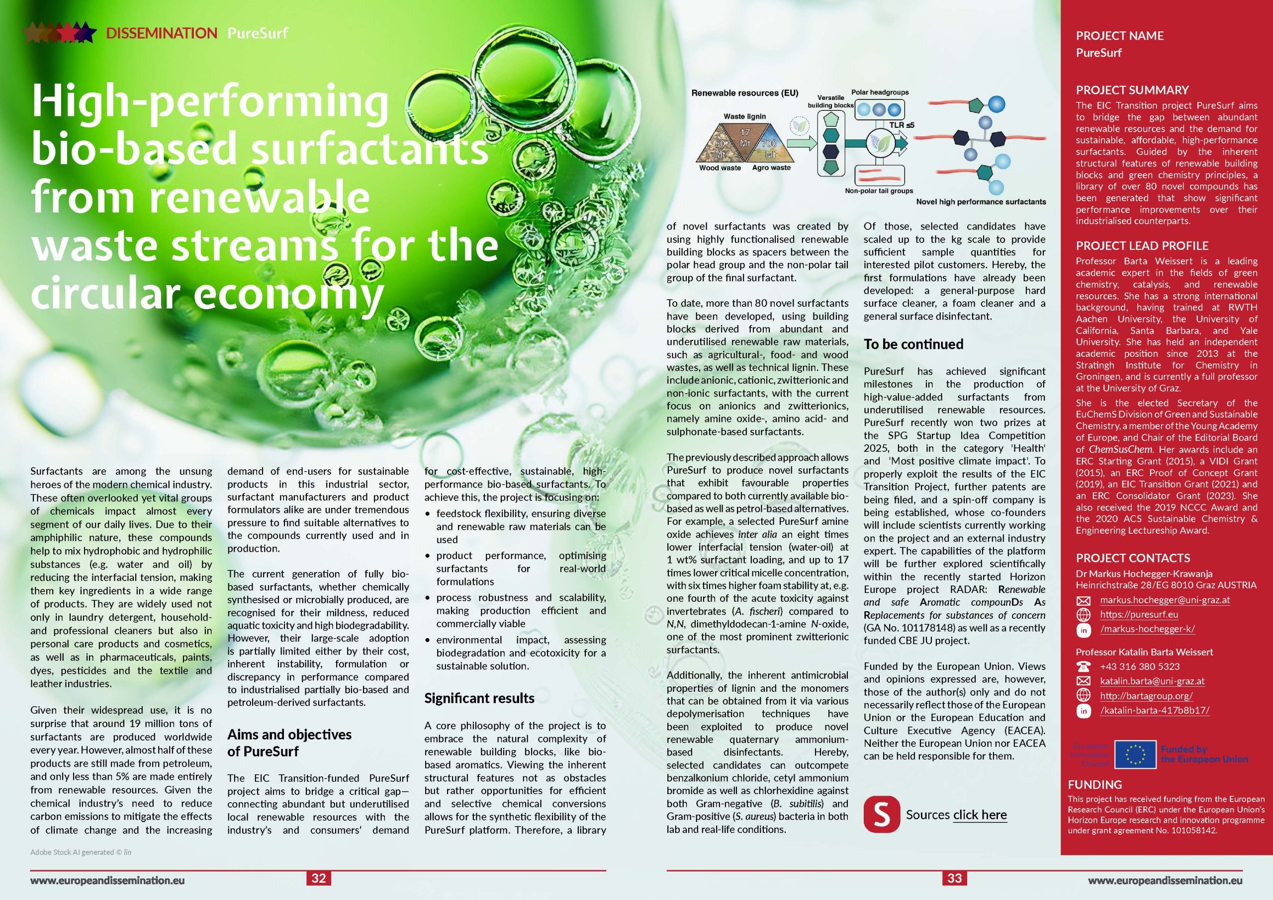 High-performing bio-based surfactants from renewable waste streams for ...