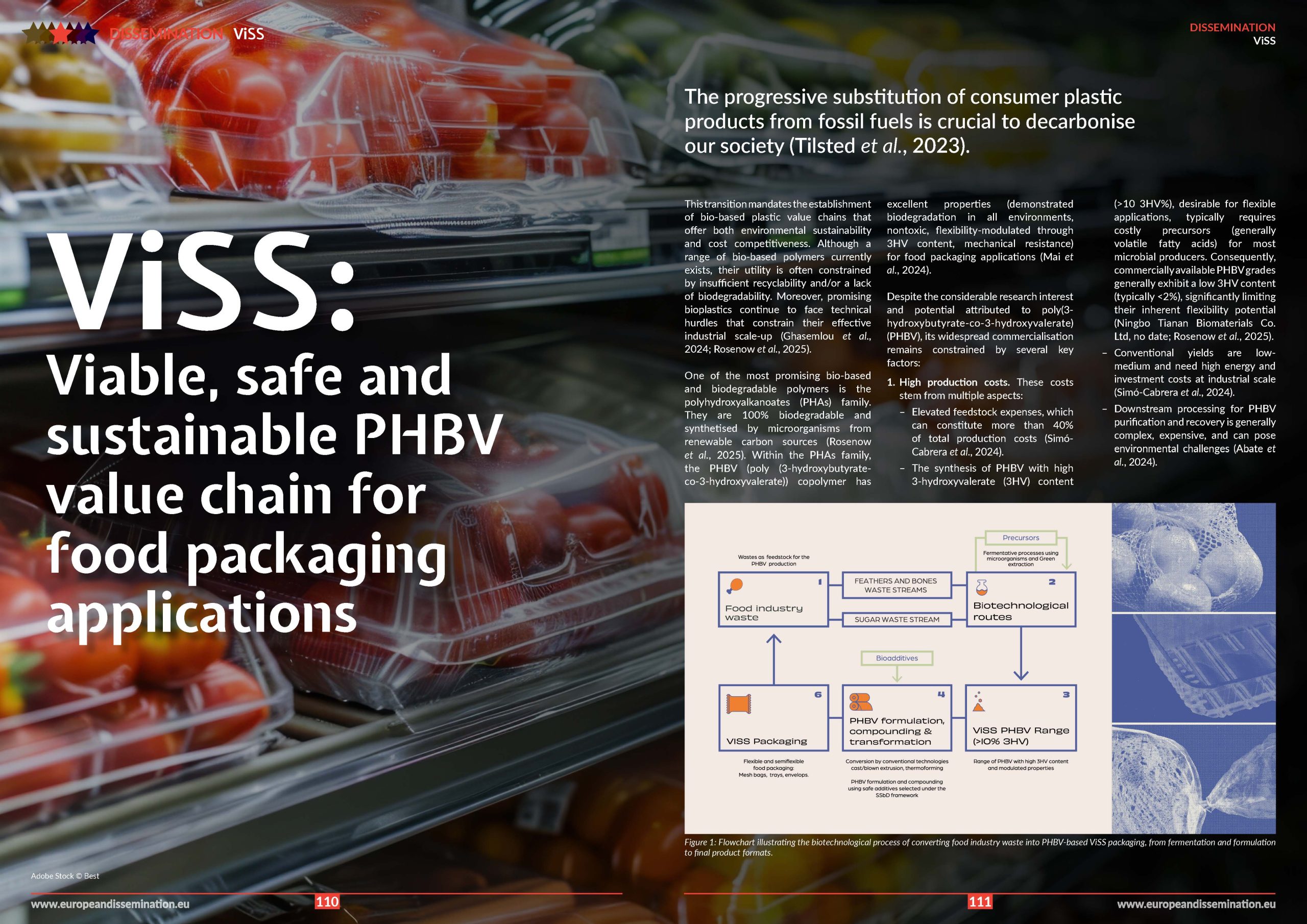 ViSS: viable, safe and sustainable PHBV value chain for food packaging ...